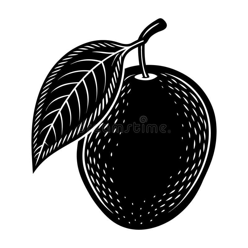 A Mango Fruit Silhouette Vector Art 04 Stock Illustration ...