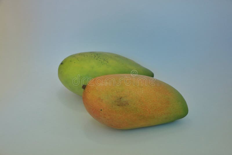 Mango Fruit Skin Color Yellow and Green White Background Stock Image ...