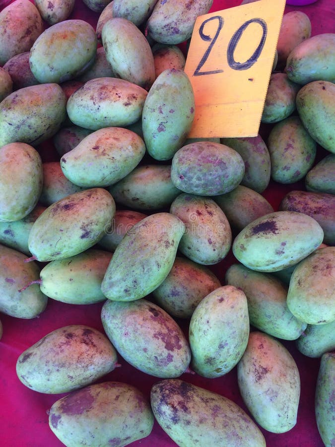 Mango fruit stock image. Image of leaf, tillage, marrow - 82157885