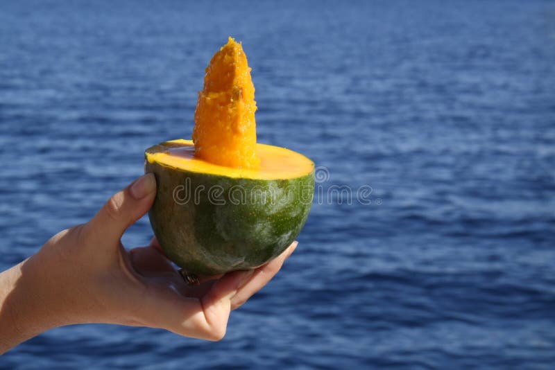 Mango fruit, sun and sea stock image. Image of organic - 236391283