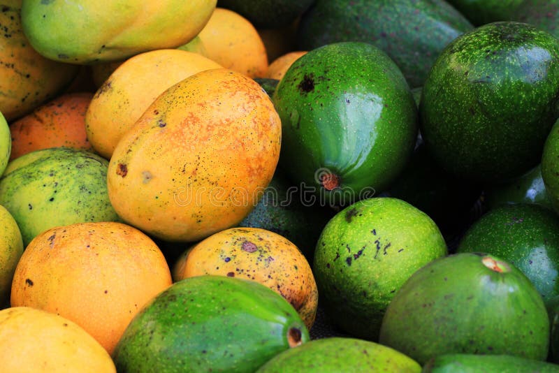 391 Mangos Texture Stock Photos - Free & Royalty-Free Stock Photos from ...