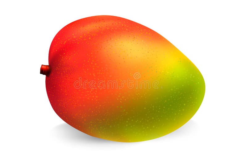 Mango Artwork Stock Illustrations – 1,284 Mango Artwork Stock ...