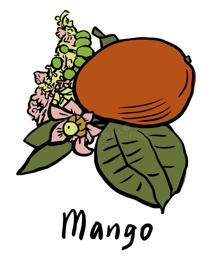 Flower Mango Stock Illustrations – 6,989 Flower Mango Stock ...