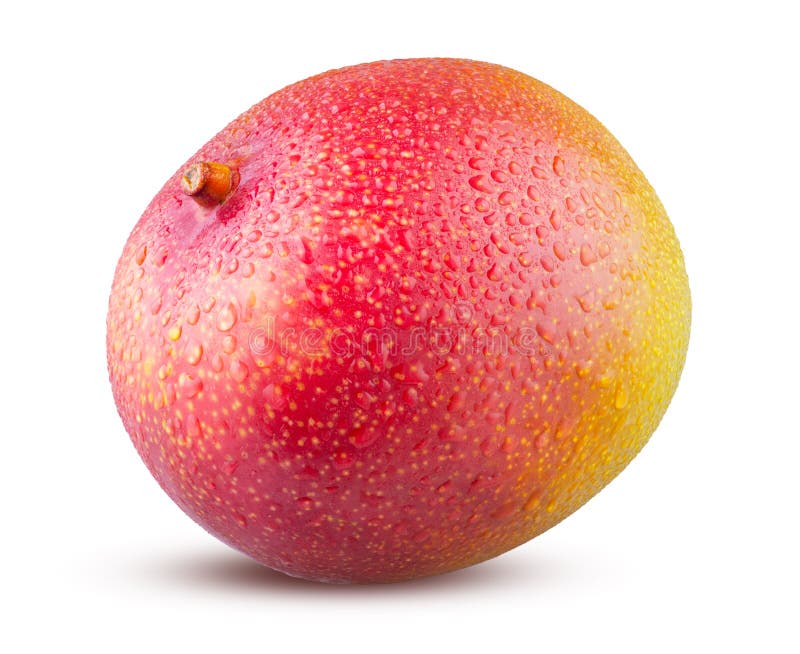 Mango Fruit With Water Drops Isolated On White Background Whole Tasty Mango Closeup Stock Image