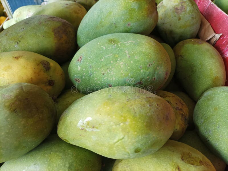 Mango Fruit Which is Rich in Health Benefits Can Be Consumed in Various ...