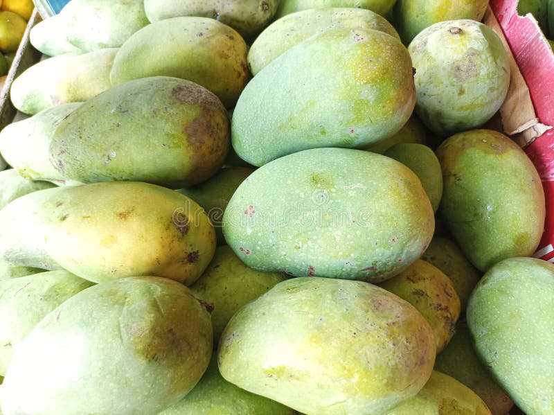 Mango Fruit Which is Rich in Health Benefits Can Be Consumed in Various ...