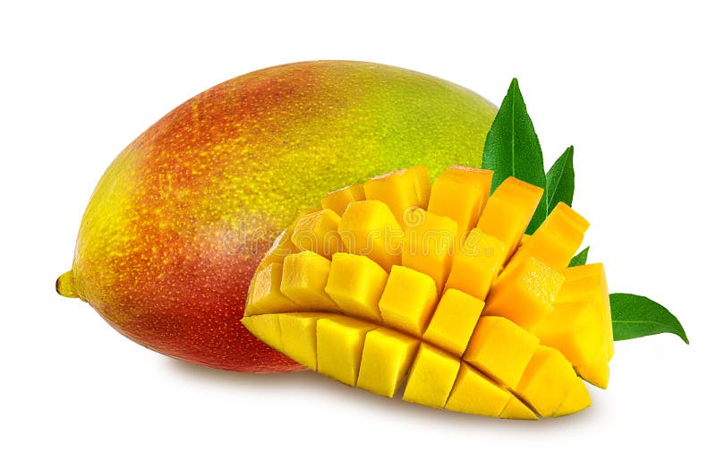 Mango Fruit Isolated on White Stock Photo - Image of healthy, mango ...