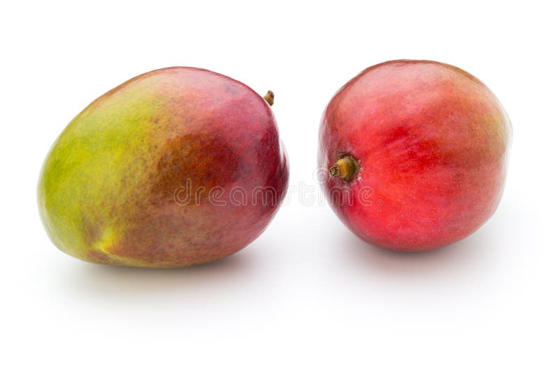 Mango Fruit Isolated on White Background Stock Photo - Image of fruit ...