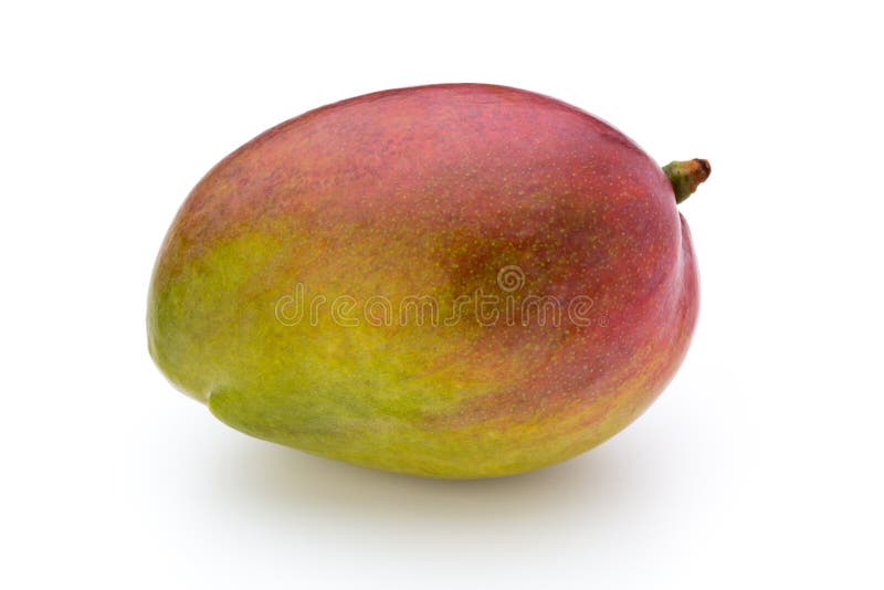 Mango Fruit Isolated on White Background. Stock Photo - Image of ...