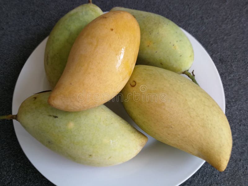 Mango stock image. Image of green, thaifruit, yello - 146895927