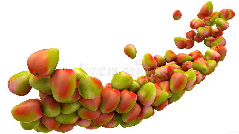 Mango Fruits Flow Isolated Over White Stock Illustration - Illustration ...