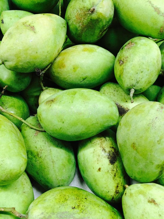 Mango fruits stock photo. Image of vegetable, fruits - 62087094