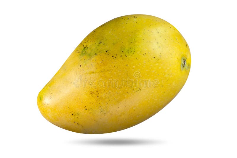 Mango Fruits Isolated on White Background with Mango Leaves Stock Photo ...
