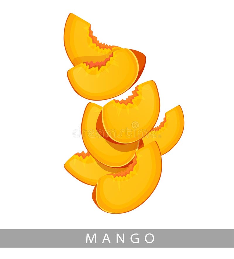 Mango Fruits Isolated on White Background. Sliced Mango Vector in ...