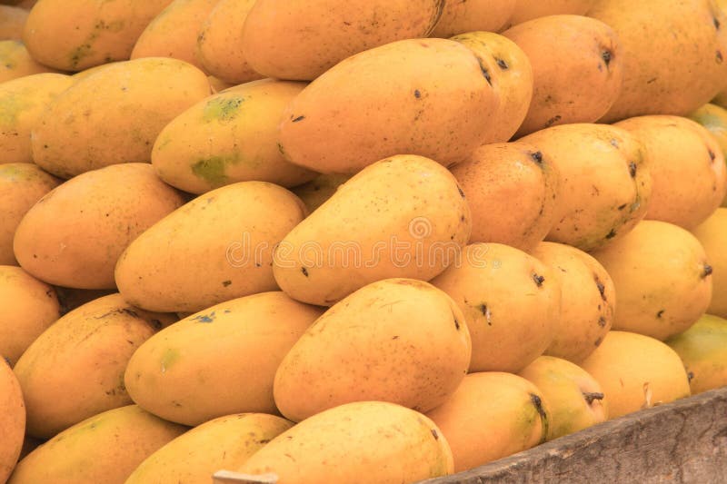 Mango Fruits at Local Fruit Store Stock Image - Image of fruitshop ...