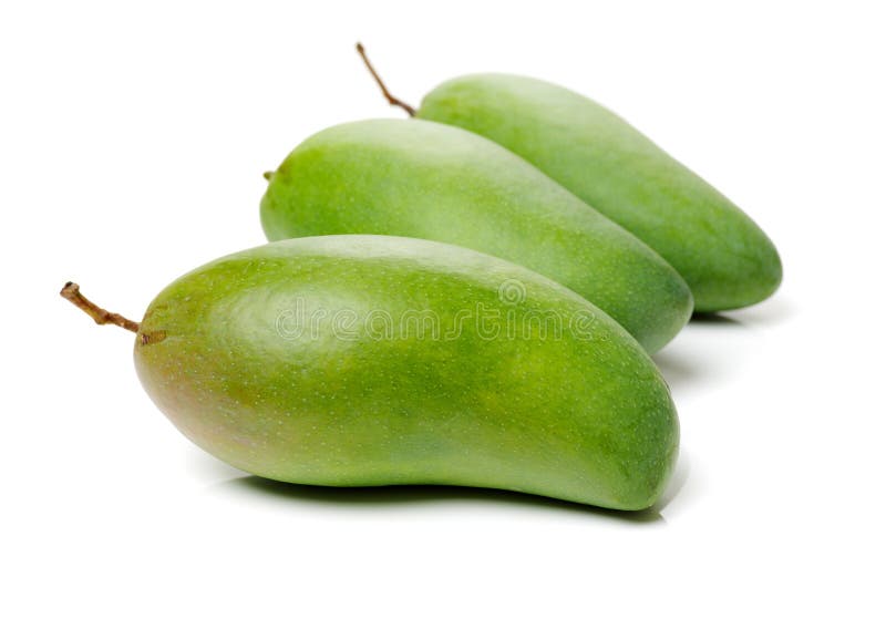 Mango or green mango stock photo. Image of healthy, mango - 110914544