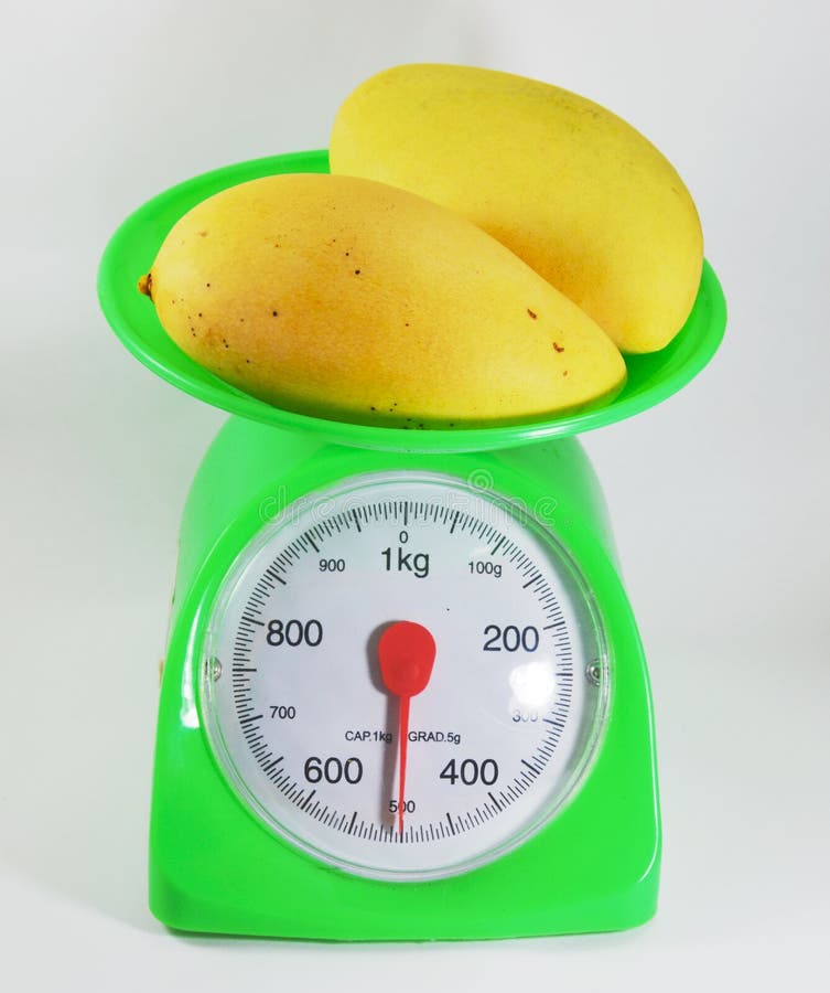 Mango ripen stock photo. Image of sale, plant, ripen - 53699332