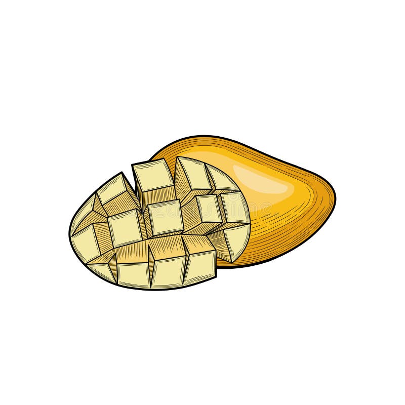 Mango. Half a Mango. Fruit Crop. Exotic Fruit Stock Vector ...