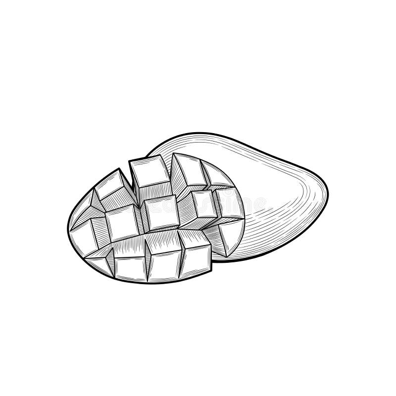 Mango. Half a Mango. Fruit Crop. Exotic Fruit. Stock Vector ...