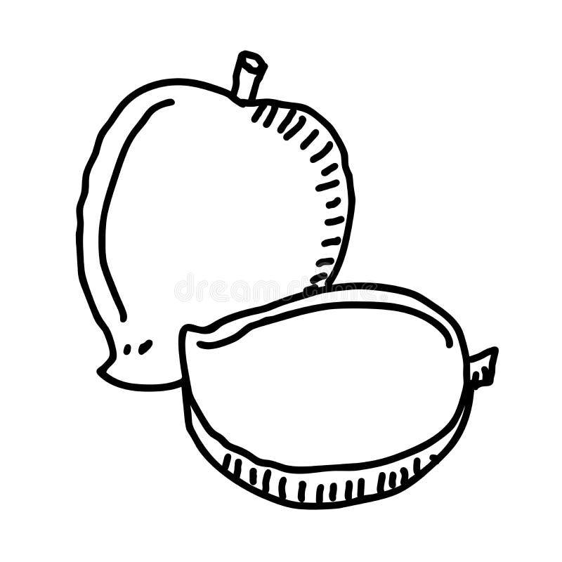 Mango Hand Drawn Vector Illustration Stock Vector - Illustration of ...