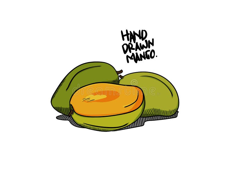 Vector Mango Hand Drawn Style Stock Vector - Illustration of hand, logo ...