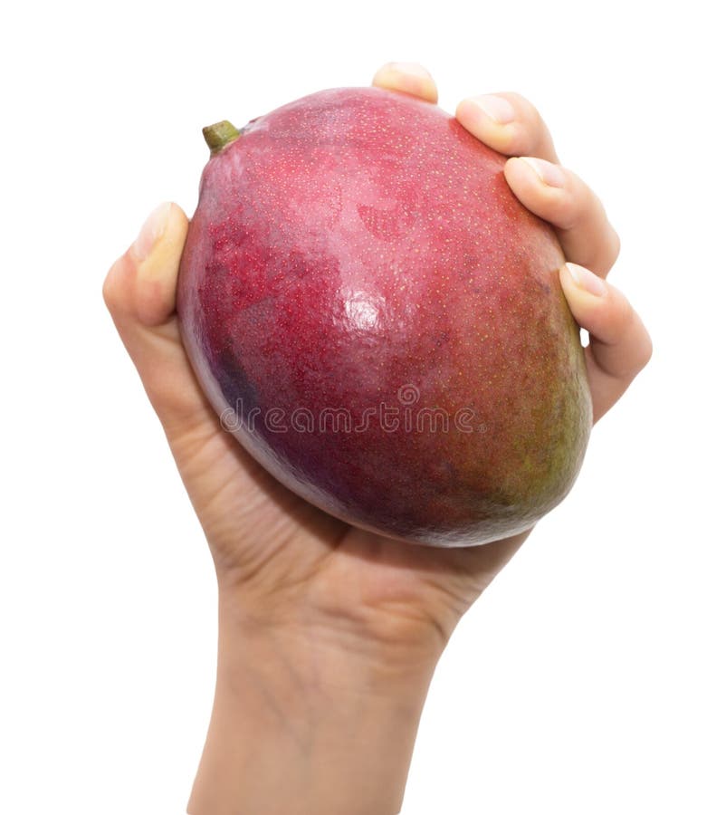Mango in hand stock image. Image of asian, orange, mandarin - 104181647