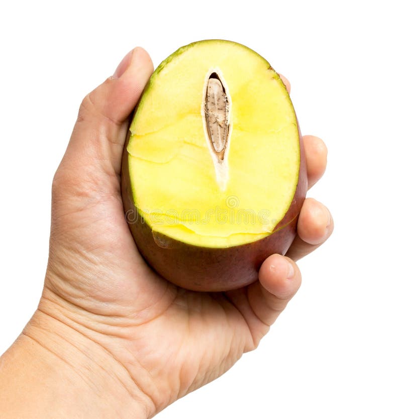 Mango in Hand on a White Background Stock Photo - Image of organic ...
