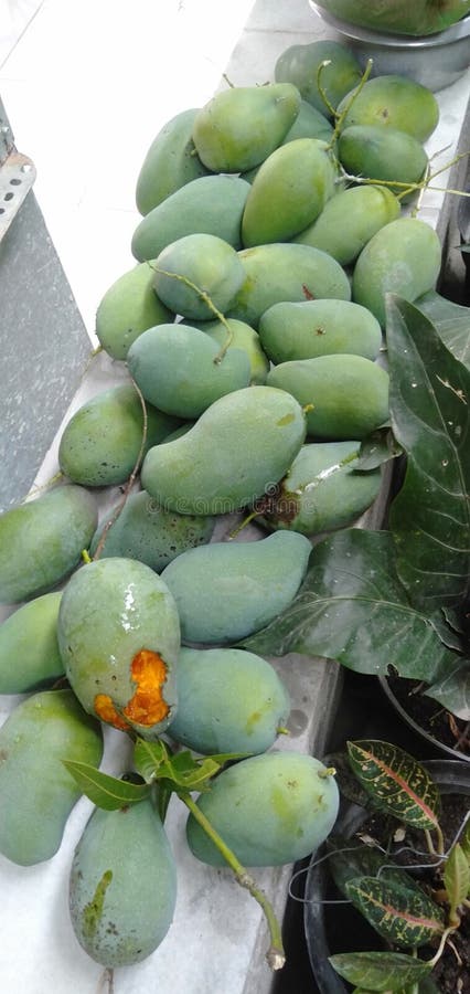 Codot Stock Photos - Free & Royalty-Free Stock Photos from Dreamstime