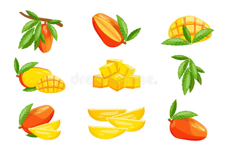 Cartoon Cut Mango Stock Illustrations – 767 Cartoon Cut Mango Stock ...