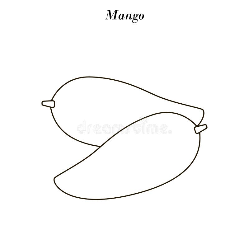 Mango Outline Stock Illustrations – 1,655 Mango Outline Stock ...