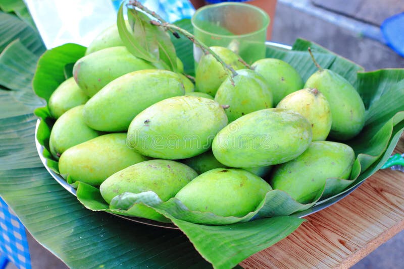 Mango stock image. Image of selling, mango, market, green - 63053781