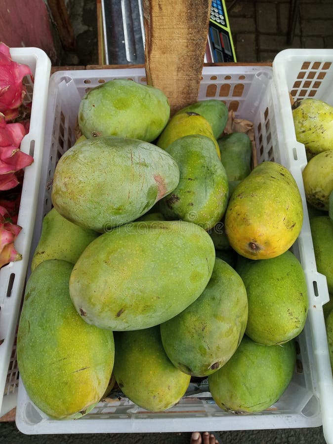 314 Basket Green Apple Inside Stock Photos - Free & Royalty-Free Stock ...