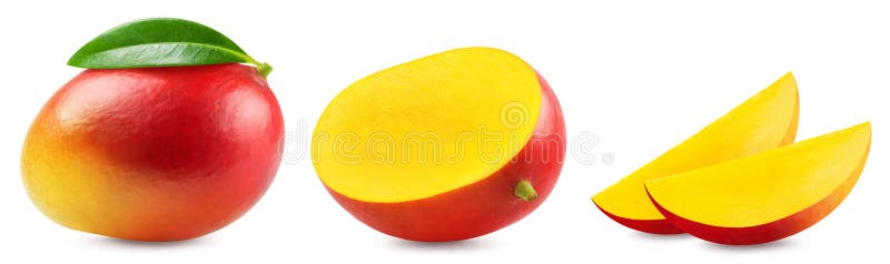 Mango Isolated Set. Collection of Ripe Red Mango on a White Background ...