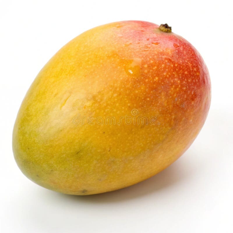 Mango on Transparent Background Stock Illustration - Illustration of ...