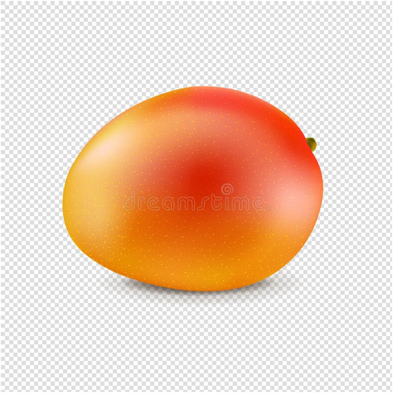 Mango Isolated Transparent Background Stock Vector - Illustration of ...