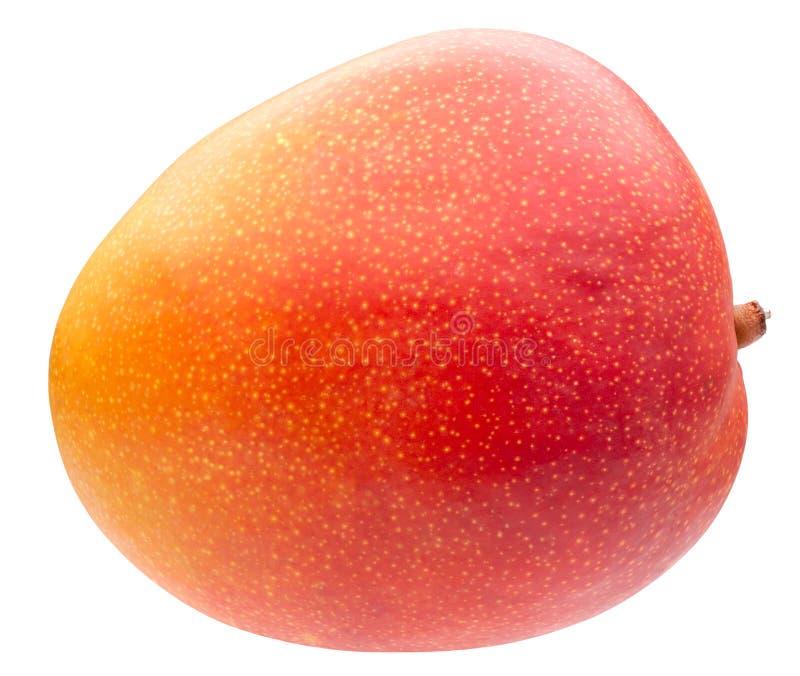Mango Isolated on a White Background Stock Image - Image of food ...