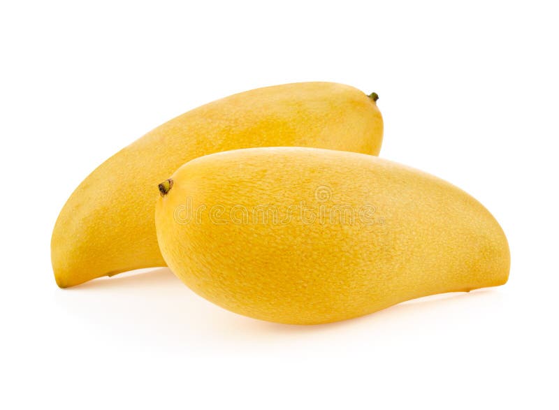 Mango isolated on white stock image. Image of nutrition - 153940559