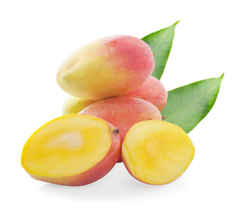 Mango Isolated on White Background Stock Photo - Image of citrus ...