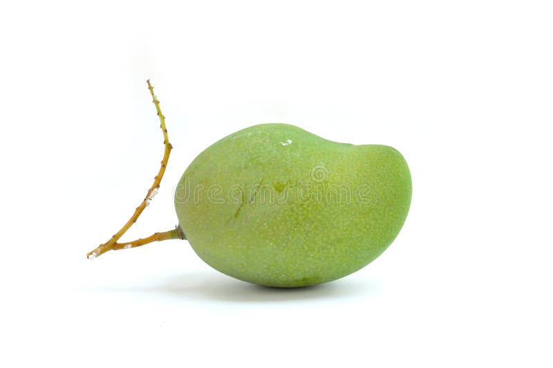 Mango Isolated on a White Background Stock Image - Image of agriculture ...