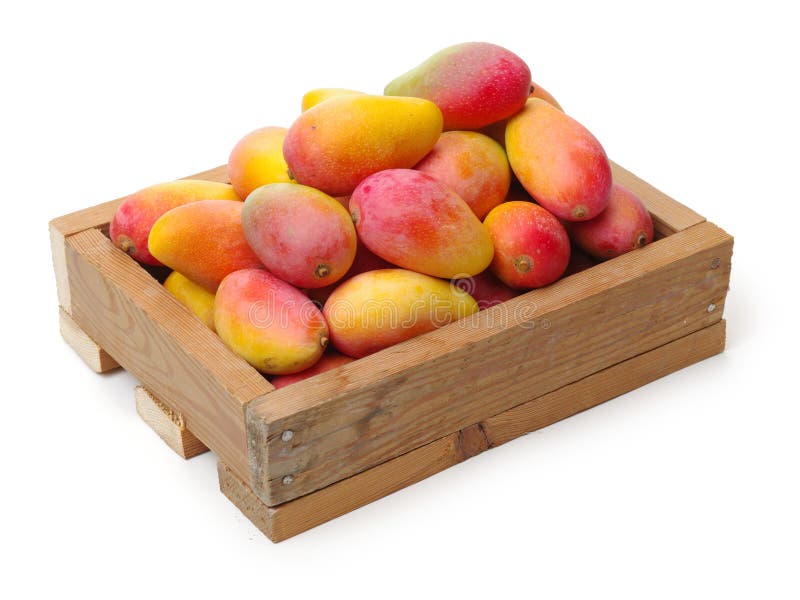 402 Mango Litchi Stock Photos - Free & Royalty-Free Stock Photos from ...