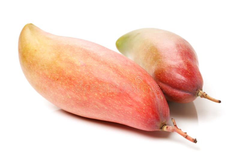 Mango isolated stock image. Image of produce, healthy - 132699001