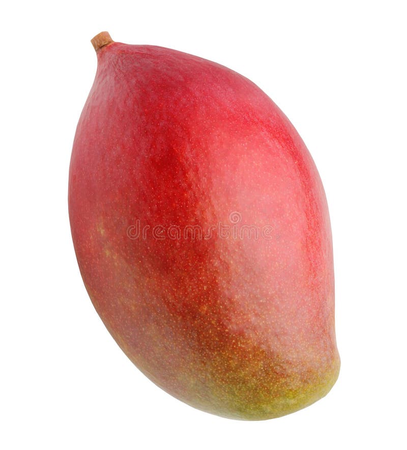 Mango, Isolated on White Background. Stock Image - Image of organic ...