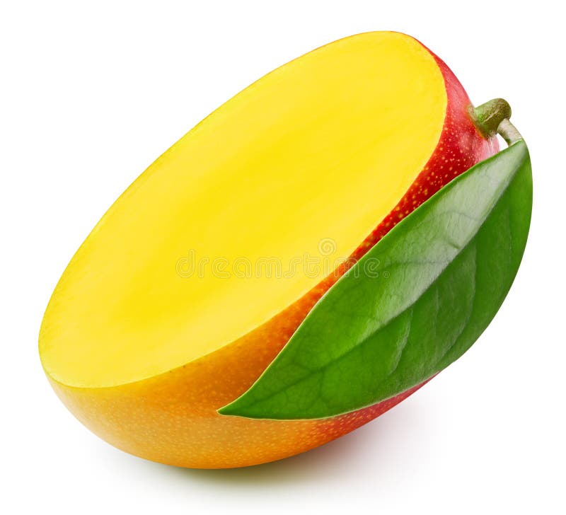 4,801 Single Mango Isolated Leaf Stock Photos - Free & Royalty-Free ...