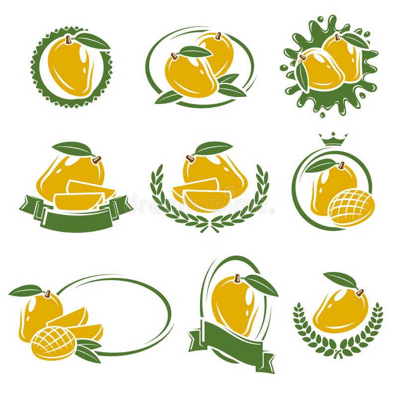 Mango Labels and Elements Set. Vector Stock Vector - Illustration of ...