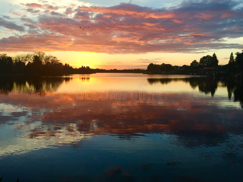 Mango lake stock image. Image of water, tonight, dusk - 88650379