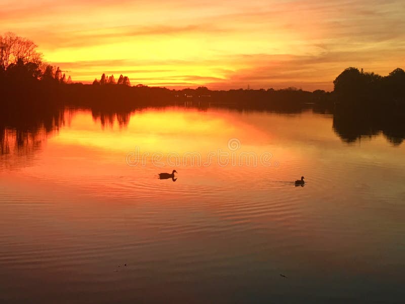 Mango lake stock image. Image of mango, lake, water, fire - 88650343