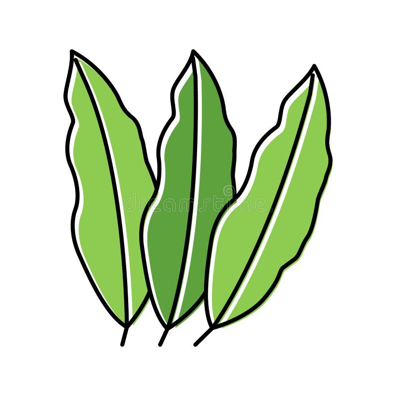 Mango Leaf Color Icon Vector Illustration Stock Vector - Illustration ...