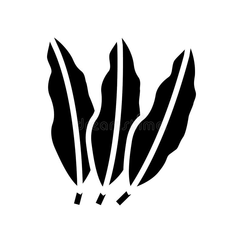 Mango Leaf Glyph Icon Vector Illustration Stock Illustration ...