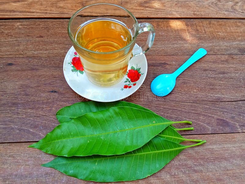 Mango Leaf Tea Have Many Benefits To Healthy Stock Photo - Image of ...
