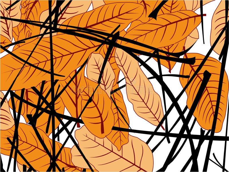 Mango leaves fall stock vector. Illustration of flowers - 97828795